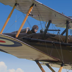Royal Aircraft Factory S.E.5a - "The Iron Man" Mick Mannock – Mark ...